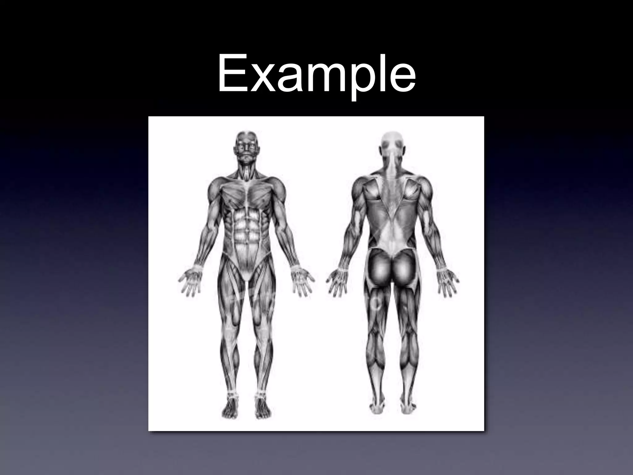 Lighting & Shading in OpenGL Non-Photorealistic Rendering.ppt