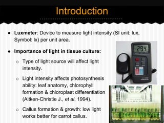Effects of Light Intensity on Tissue Cultures | PPTX
