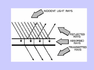Light Interactions- Waves unit | PPT | Physics | Science