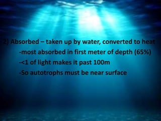 Light in the ocean | PPTX