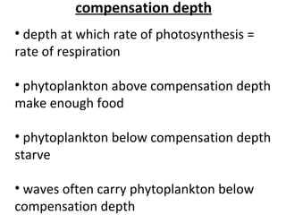 Light in the oceans powerpoint | PPT