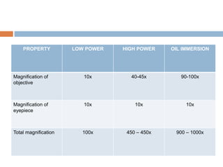 Light microscope | PPTX