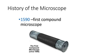 Light microscope | PPTX