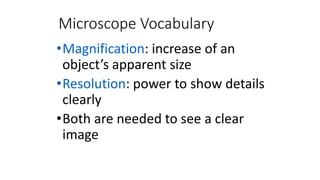 Light microscope | PPTX