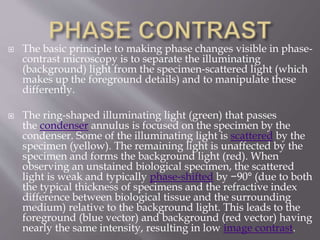 lightmicroscope-180519101129.pdf