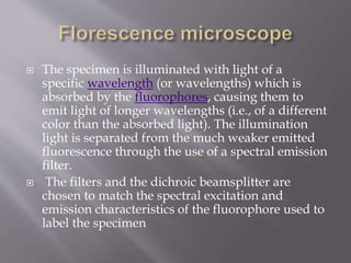 lightmicroscope-180519101129.pdf