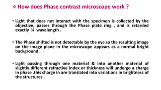 Light microscope | PPTX