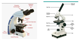 Light microscope | PPTX
