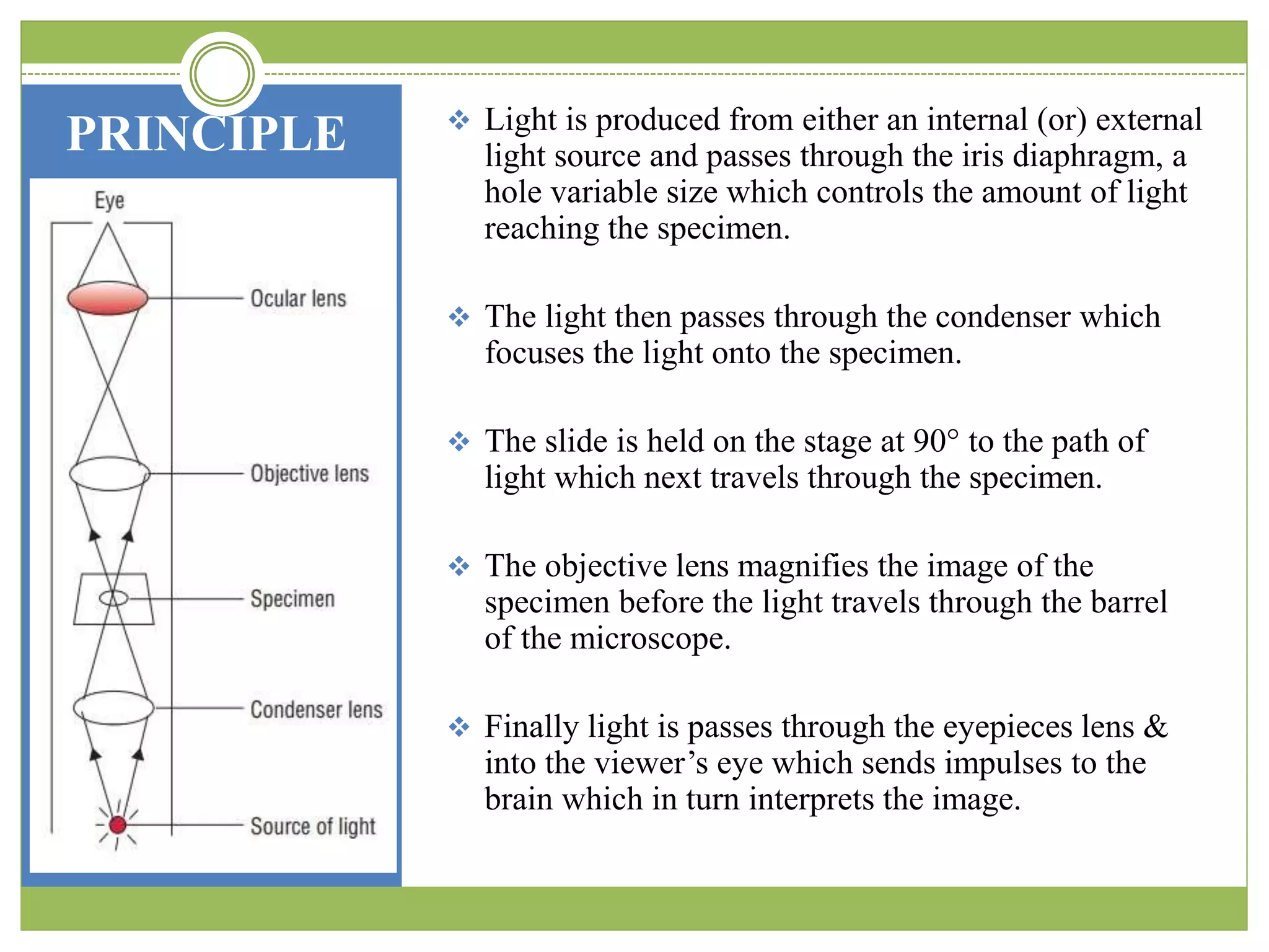 Light microscope | PPTX