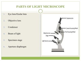 Light microscope | PPTX