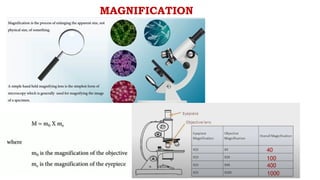 Light Microscope and its advantages.pptx