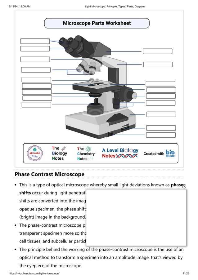 Light Microscope_ Principle, Types, Parts, Diagram.pdf | Physics | Science
