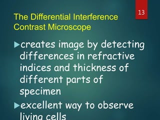 Light microscopy | PPT