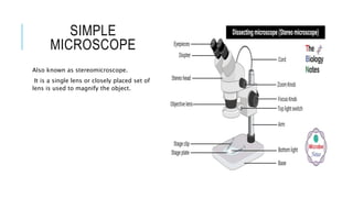 Light microscopy | PPT