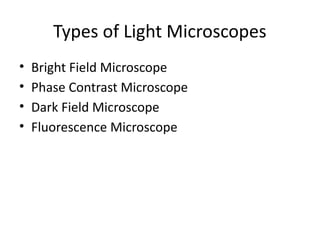 Light Microscope Light MicroscopeLight Microscope | PPTX