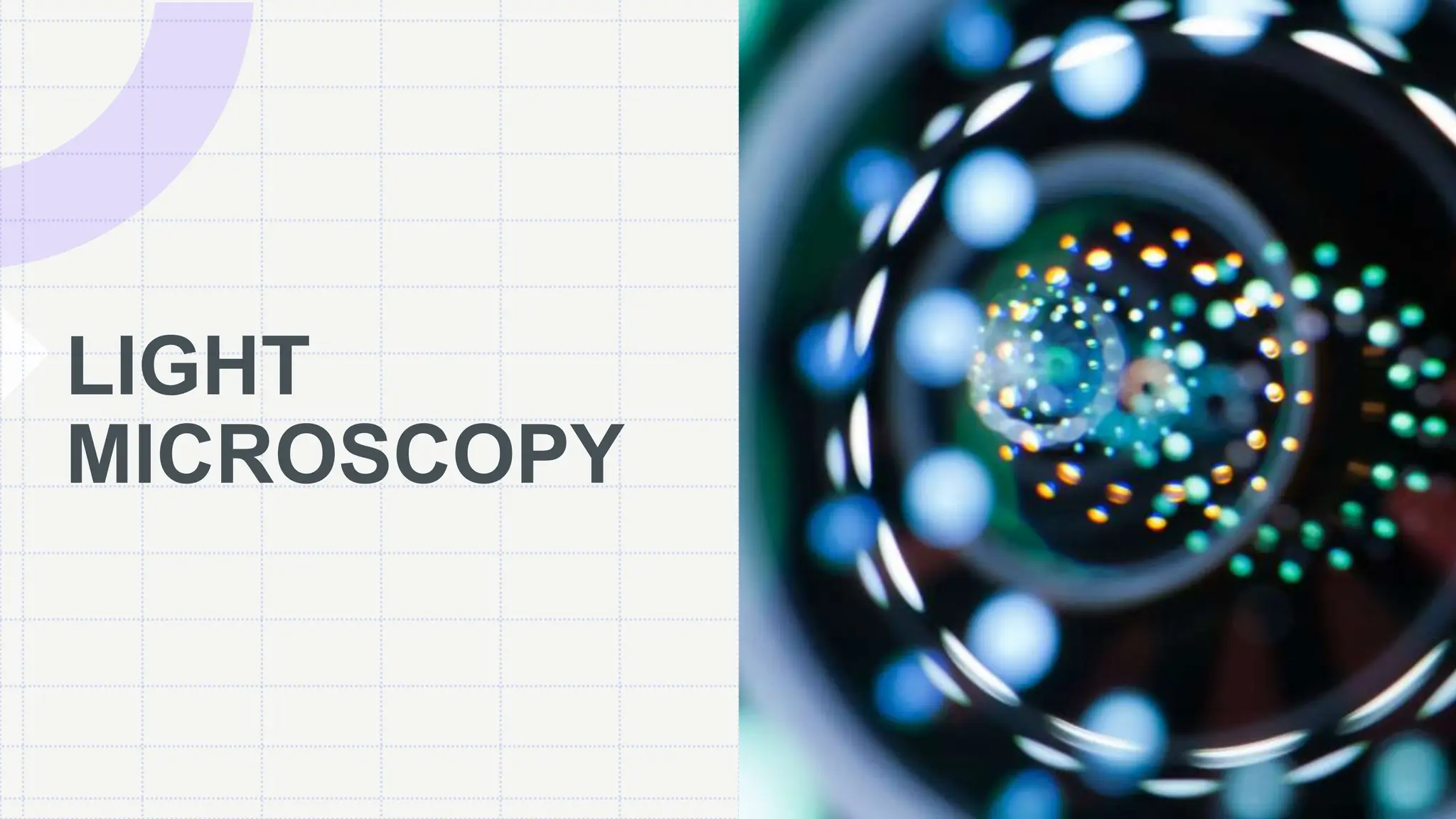 light microscopy seminar.pptx