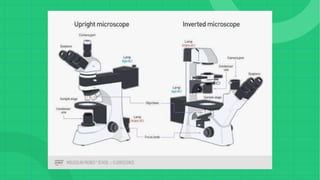 light microscopy seminar.pptx | Photography | Arts and Crafts
