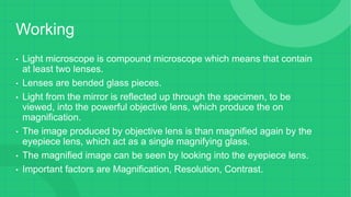 light microscopy seminar.pptx