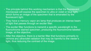 light microscopy seminar.pptx | Photography | Arts and Crafts