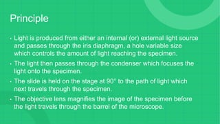 light microscopy seminar.pptx | Photography | Arts and Crafts