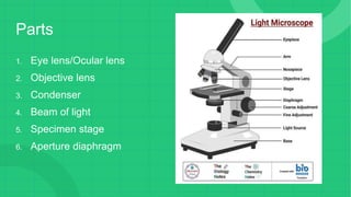 light microscopy seminar.pptx | Photography | Arts and Crafts