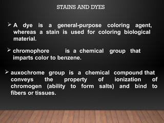 Light Microscopy Stains and staining.pptx