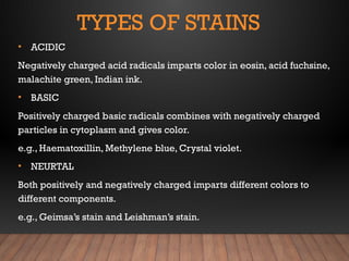 Light Microscopy Stains and staining.pptx