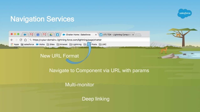 Salesforce Lightning Component Framework Roadmap (TDX18) | PPT