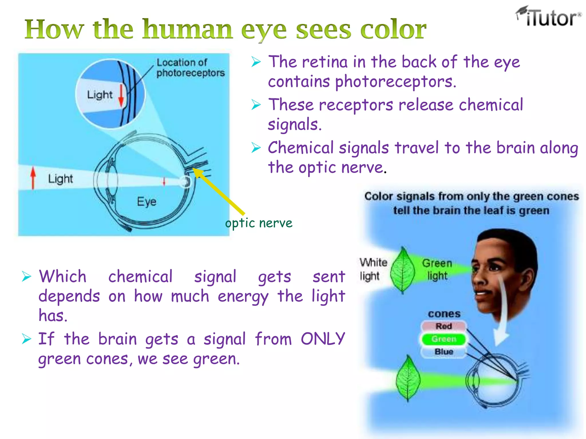 Light & optics | PPTX