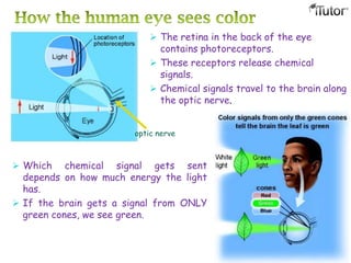 Light & optics | PPTX