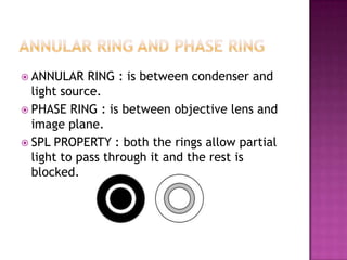 Light phase contrast and fluorescence microscopy | PPTX