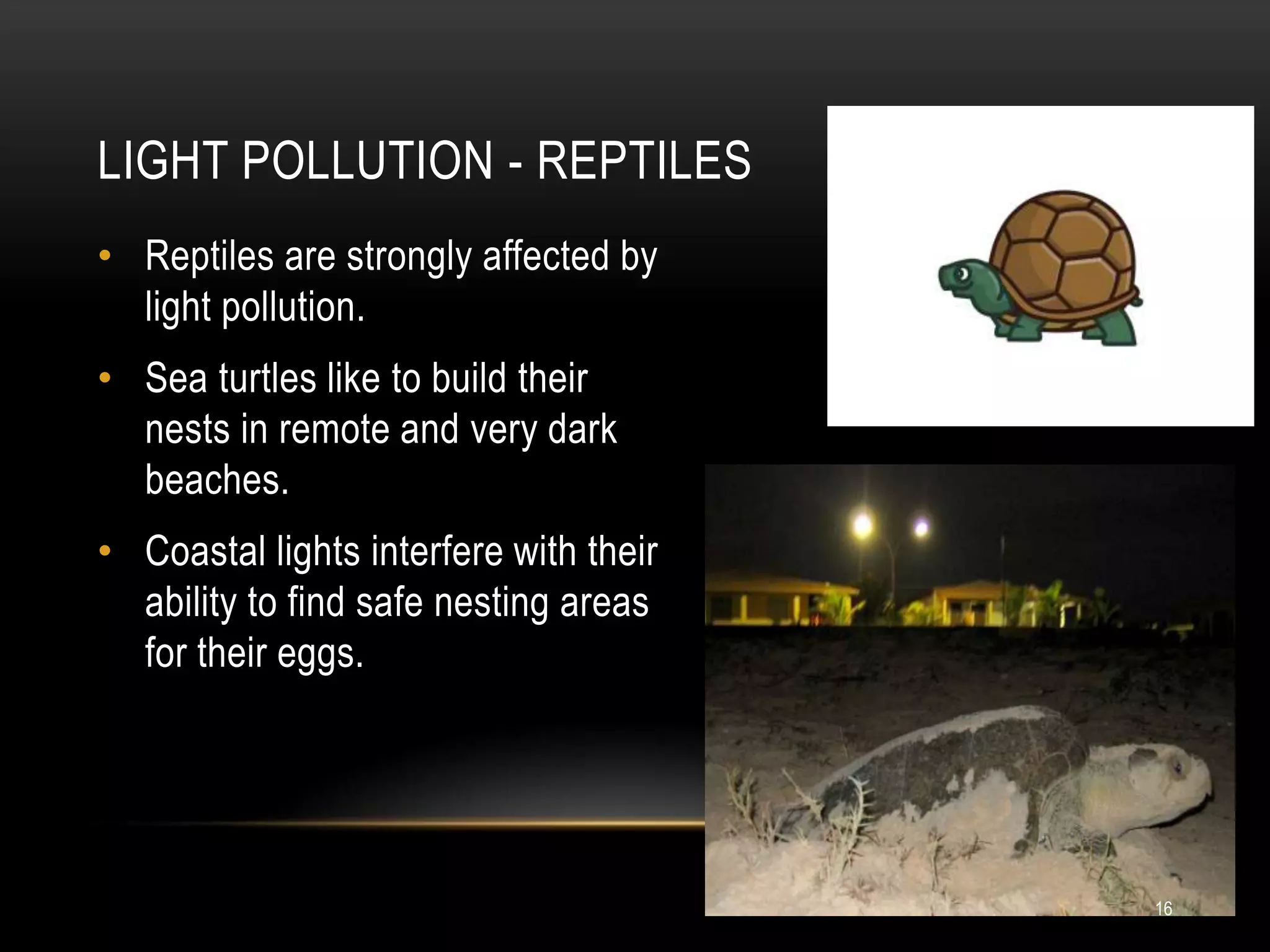 Light pollution | PPTX