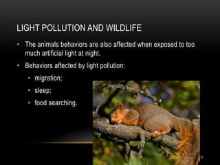Light pollution | PPTX