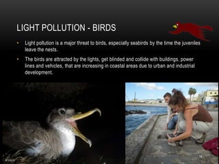 Light pollution | PPTX