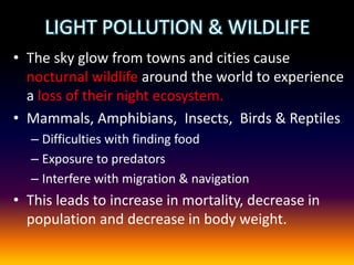 Light pollution | PPTX