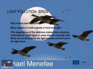 Light pollution | PPTX