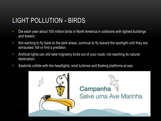 Light pollution | PPTX
