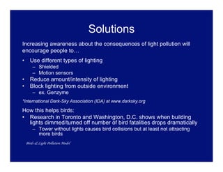 Light Pollution .pdf