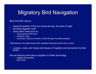 Light Pollution .pdf