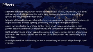 Light Pollution.pptx