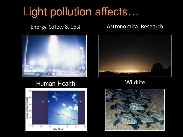 What Are The Effects Of Light Pollution On Humans - Best Design Idea