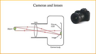 Optical phenomenon and human eye and its part | PPTX