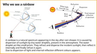 Optical phenomenon and human eye and its part | PPTX