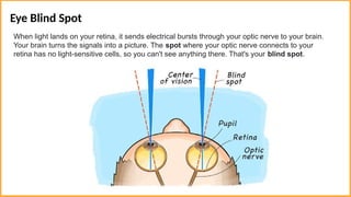 Optical phenomenon and human eye and its part | PPTX