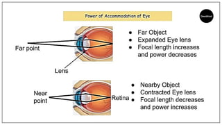 Optical phenomenon and human eye and its part | PPTX