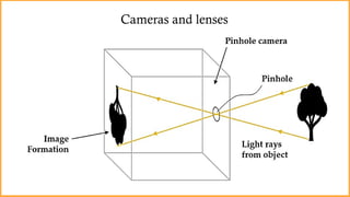 Optical phenomenon and human eye and its part | PPTX