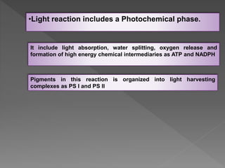 Light reaction in photosynthesis | PPTX