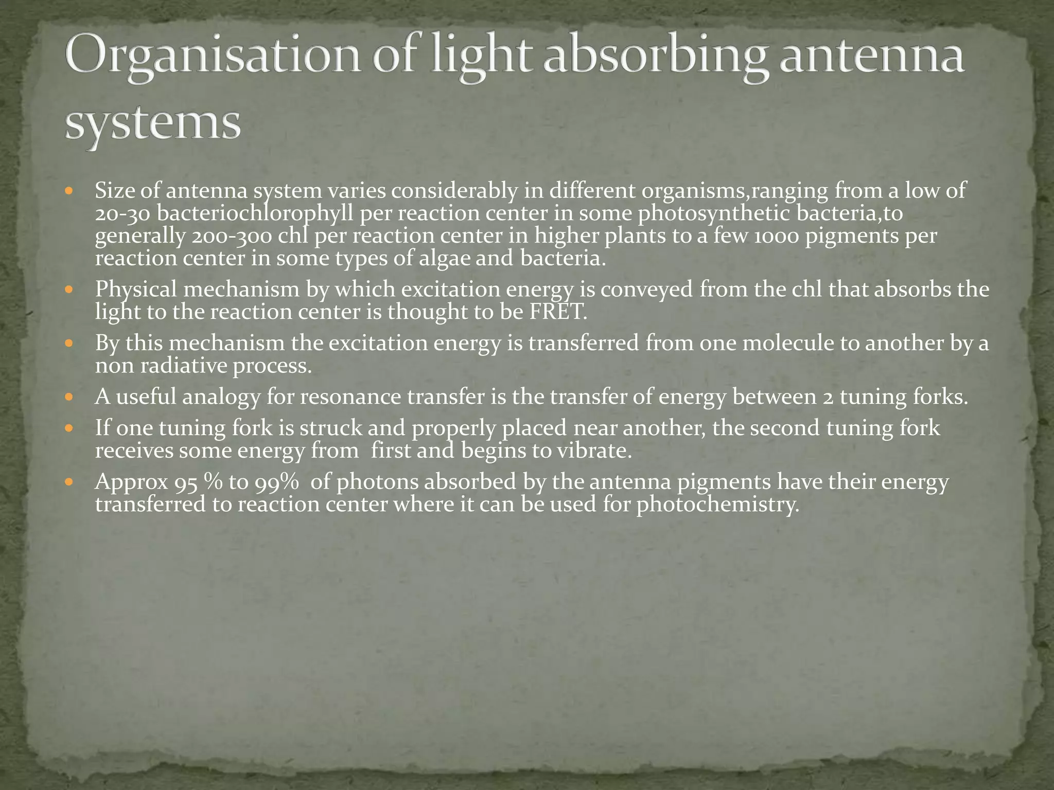 Light reaction in photosynthesis | PPTX