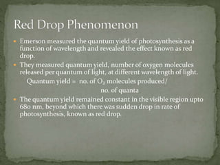 Light reaction in photosynthesis | PPTX