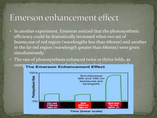 Light reaction in photosynthesis | PPTX